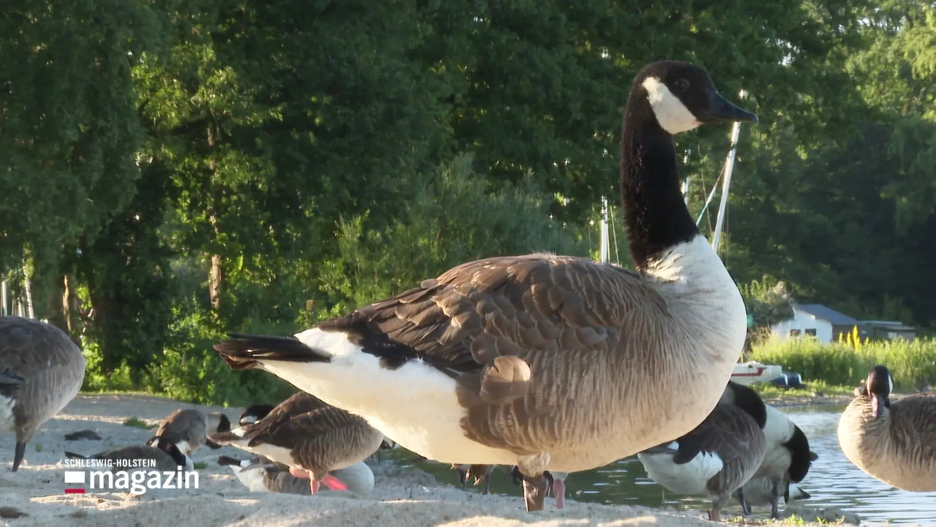 Zoetravelsalot leaked she's very hot so if you are willing