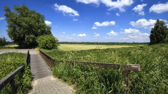 Pläne für früheres Hauni-Gelände in Bergedorf nehmen Form an | ndr.de