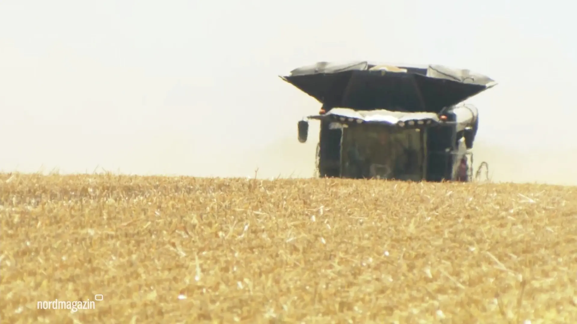 Lilyroseonline leaks beautiful woman with fantastic curves,