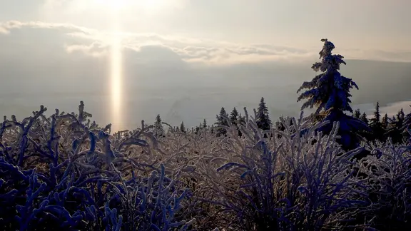 Arndt Bause: Der (un)bekannte Schlagerkönig der DDR | ndr.de