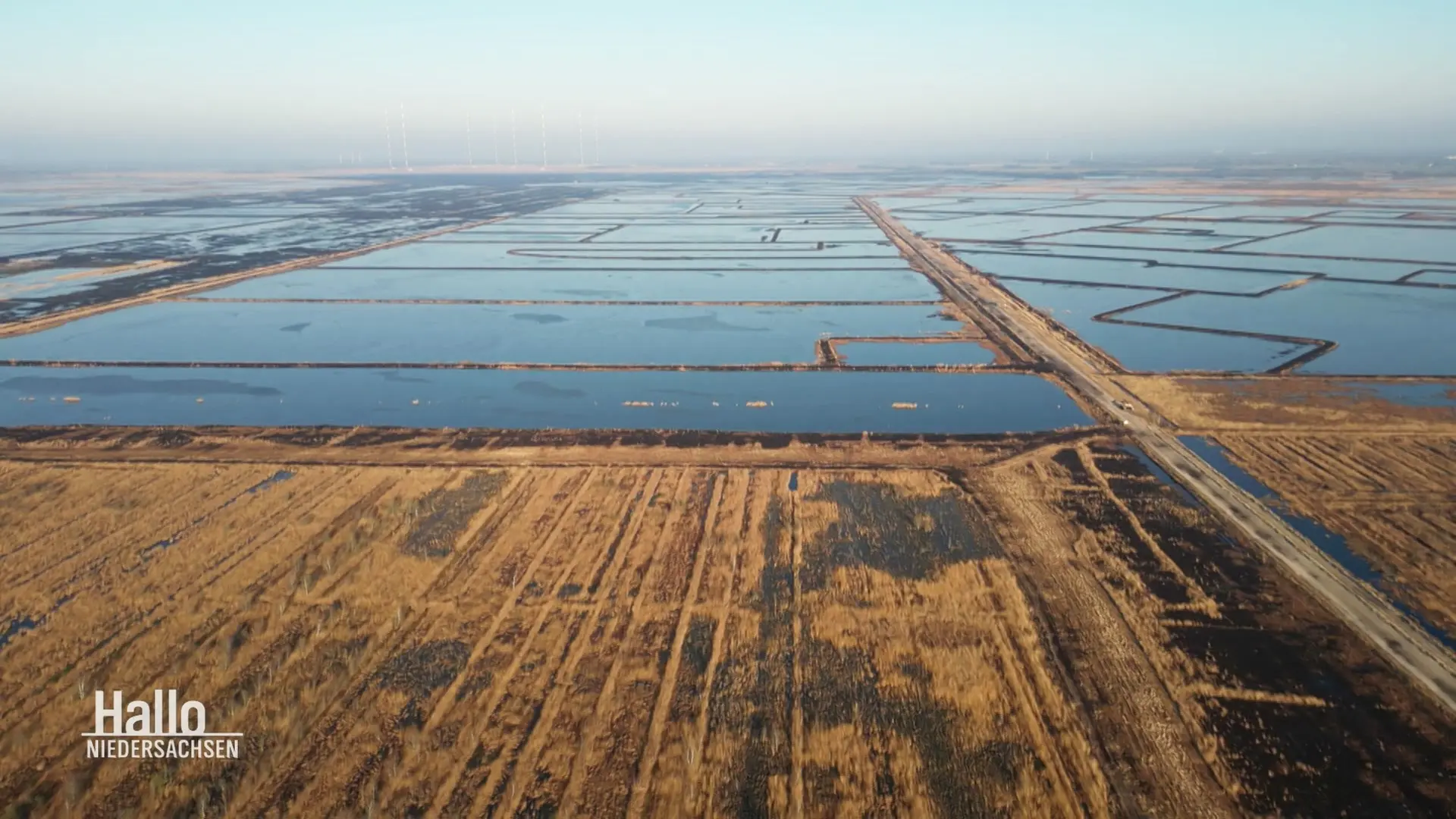 Torfabbau in Niedersachsen: Land verklagt Konzern – 4,5 Mio ...