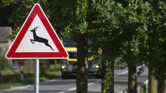 Kreuzfahrtriese "Disney Adventure" in Mukran angekommen | ndr.de