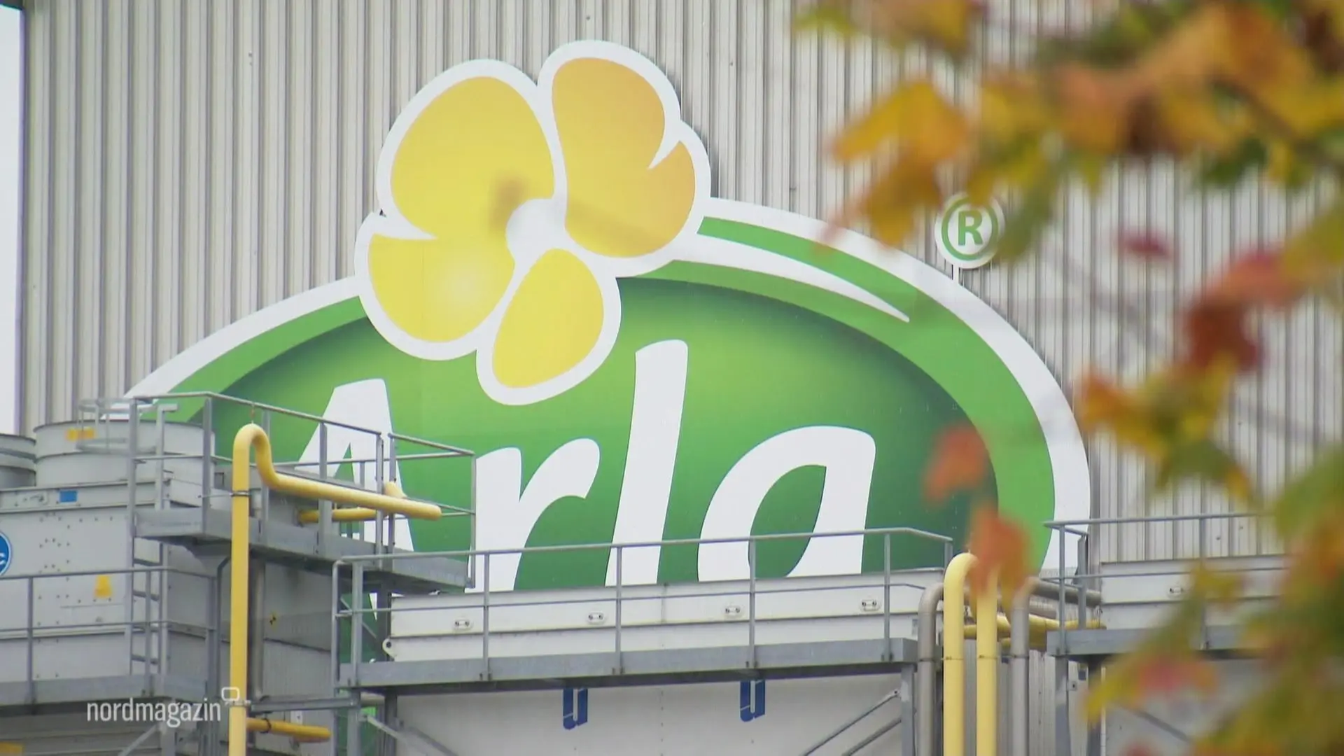Arla und DMK: Milchbauern in MV sehen Fusion mit gemischten Gefühlen ...