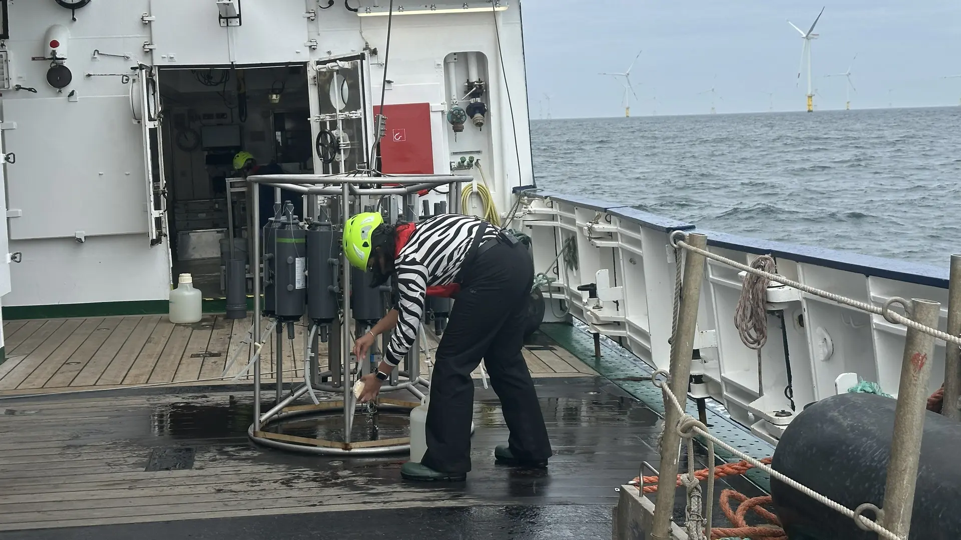 Offshore-Windkraft: Risiko für Plankton-Gemeinschaften? | ndr.de