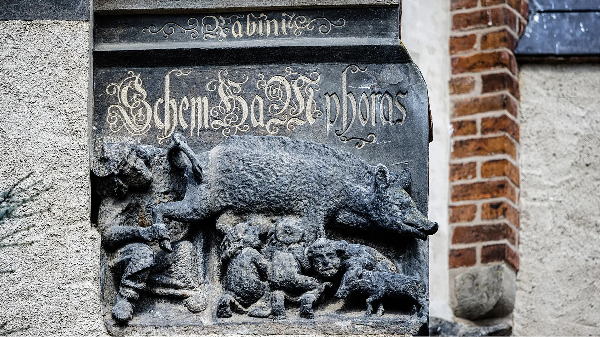 "Judensau" und Antisemitismus | ndr.de