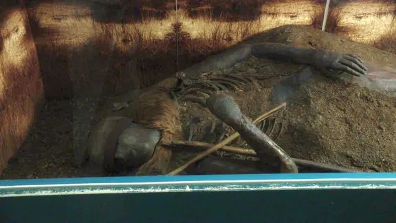 Schleswig-Holstein aktuell: Nachrichten im Überblick | ndr.de