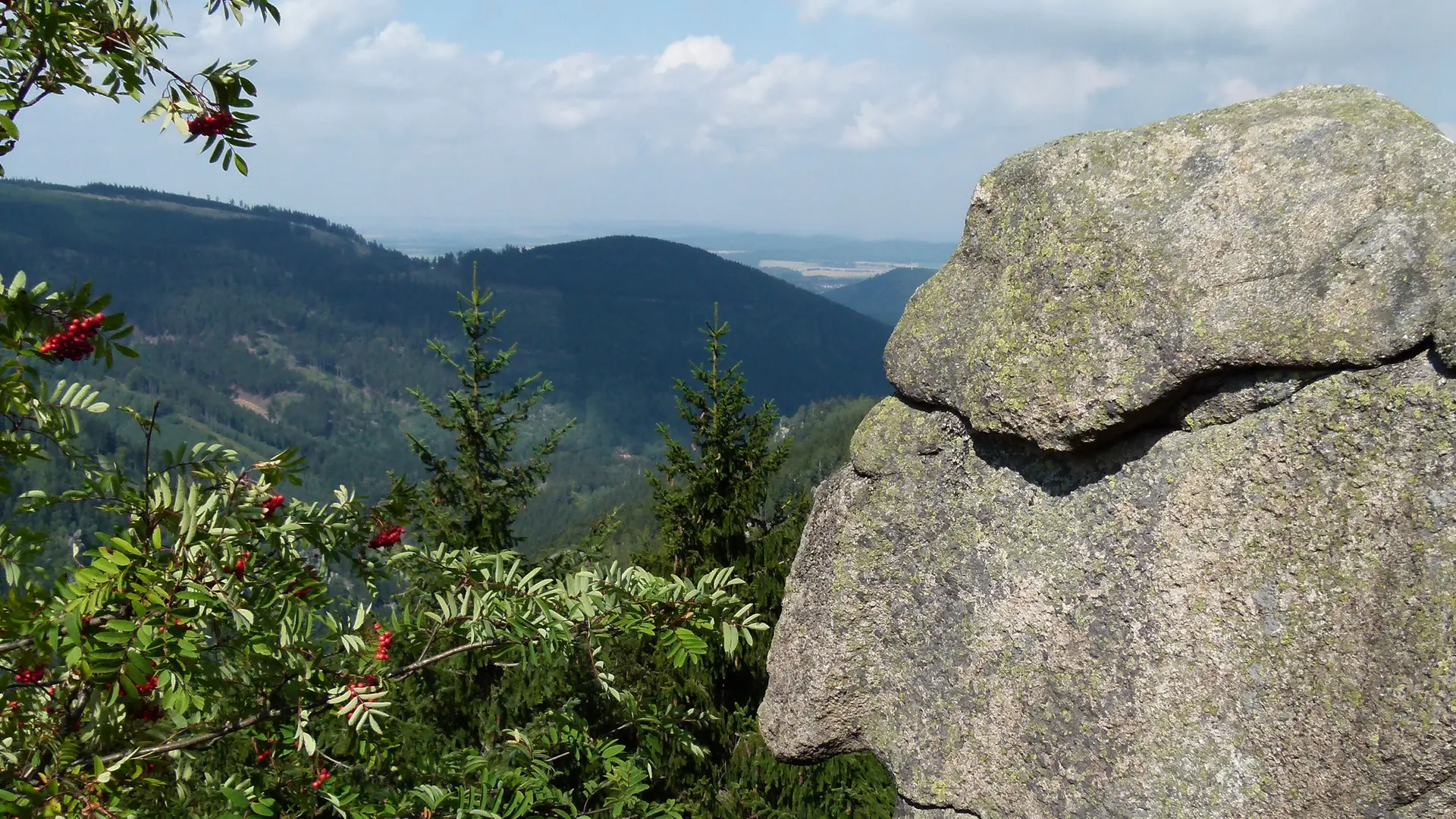 Harzer "Horror-Prozess": Haftstrafe gegen frühere Lebensgefährtin ...
