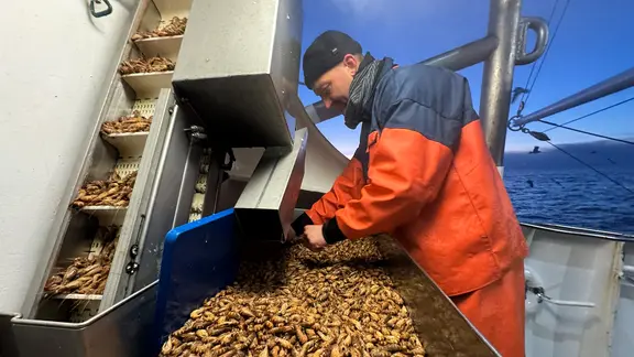 Nordfriesland - Aktuelle Nachrichten und Videos | ndr.de