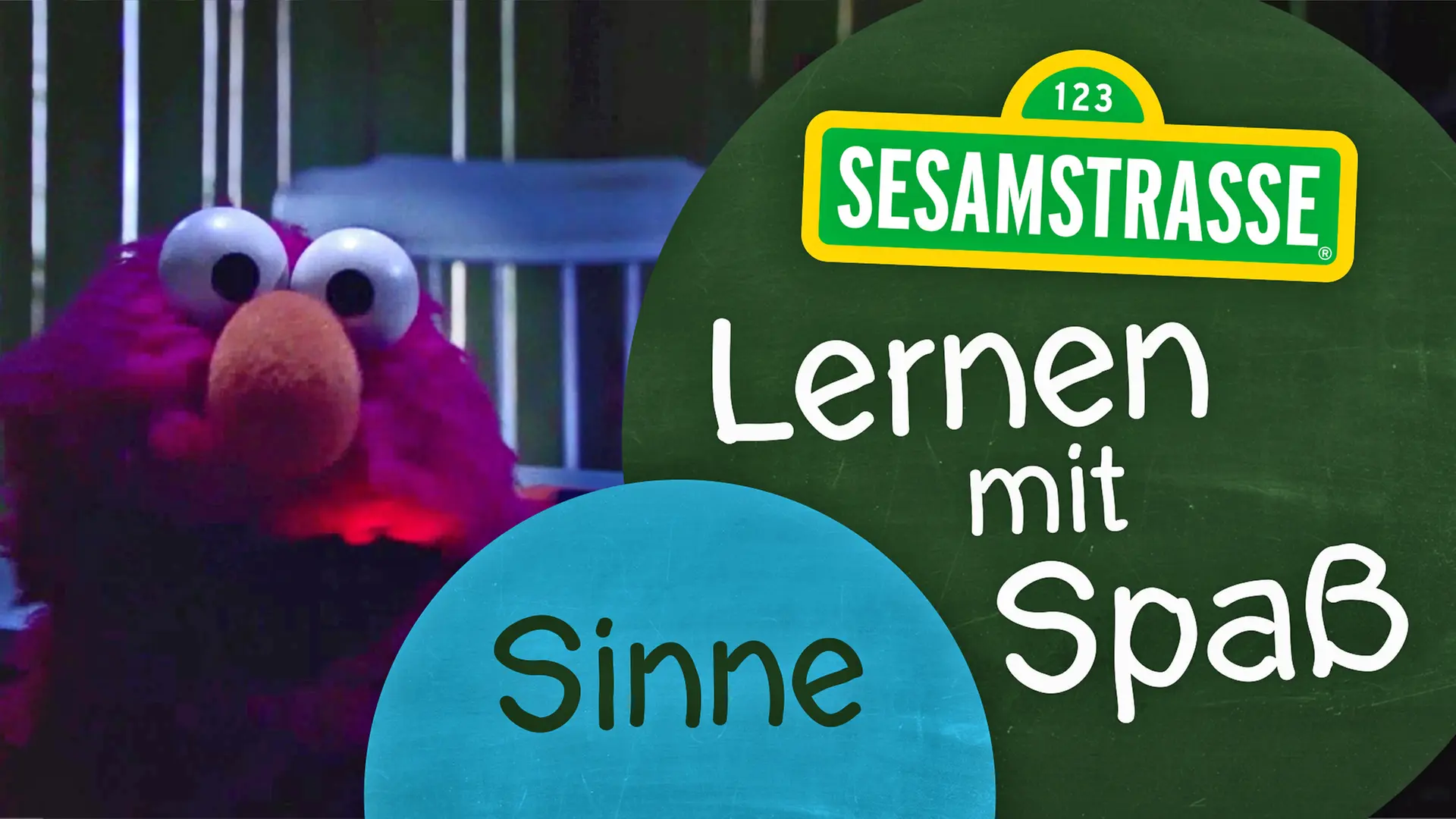 Sesamstraße - Lernen mit Spaß: Sinne | ndr.de