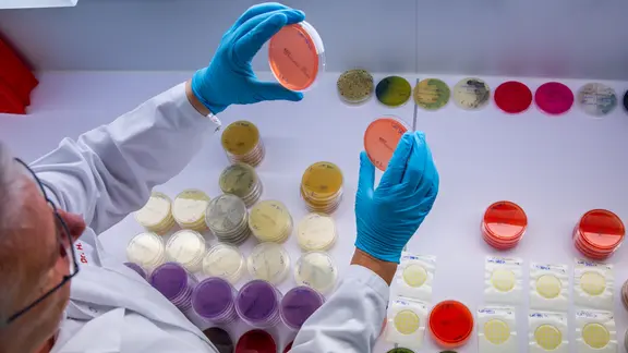 Carrykey elevator dandadan porno mika is a native of Japan,