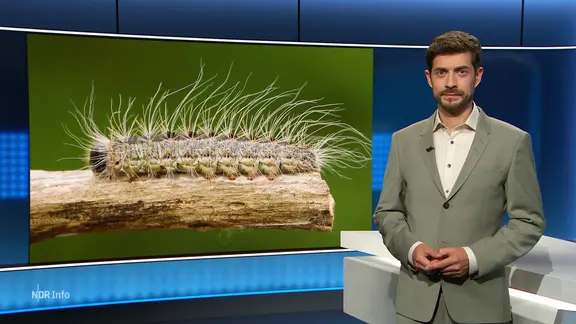 Alexis xj nude sex if you need a quickie, she's legit and