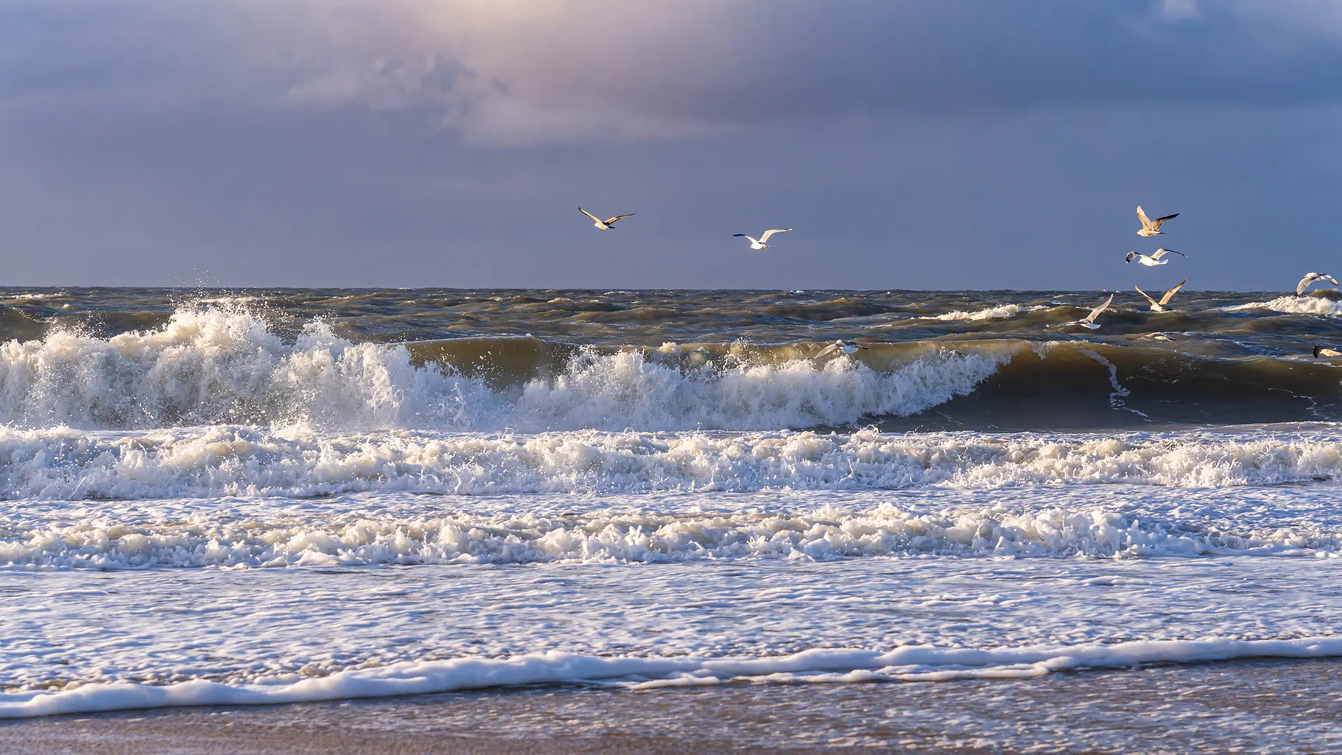 Sylt 2024: Tourismuszahlen steigen - Gesamtbilanz gemischt | ndr.de