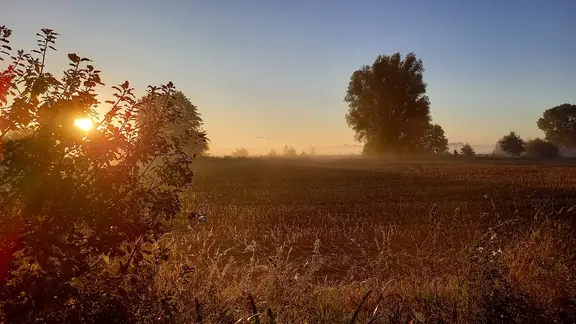 Ihre Wetterbilder im September | ndr.de