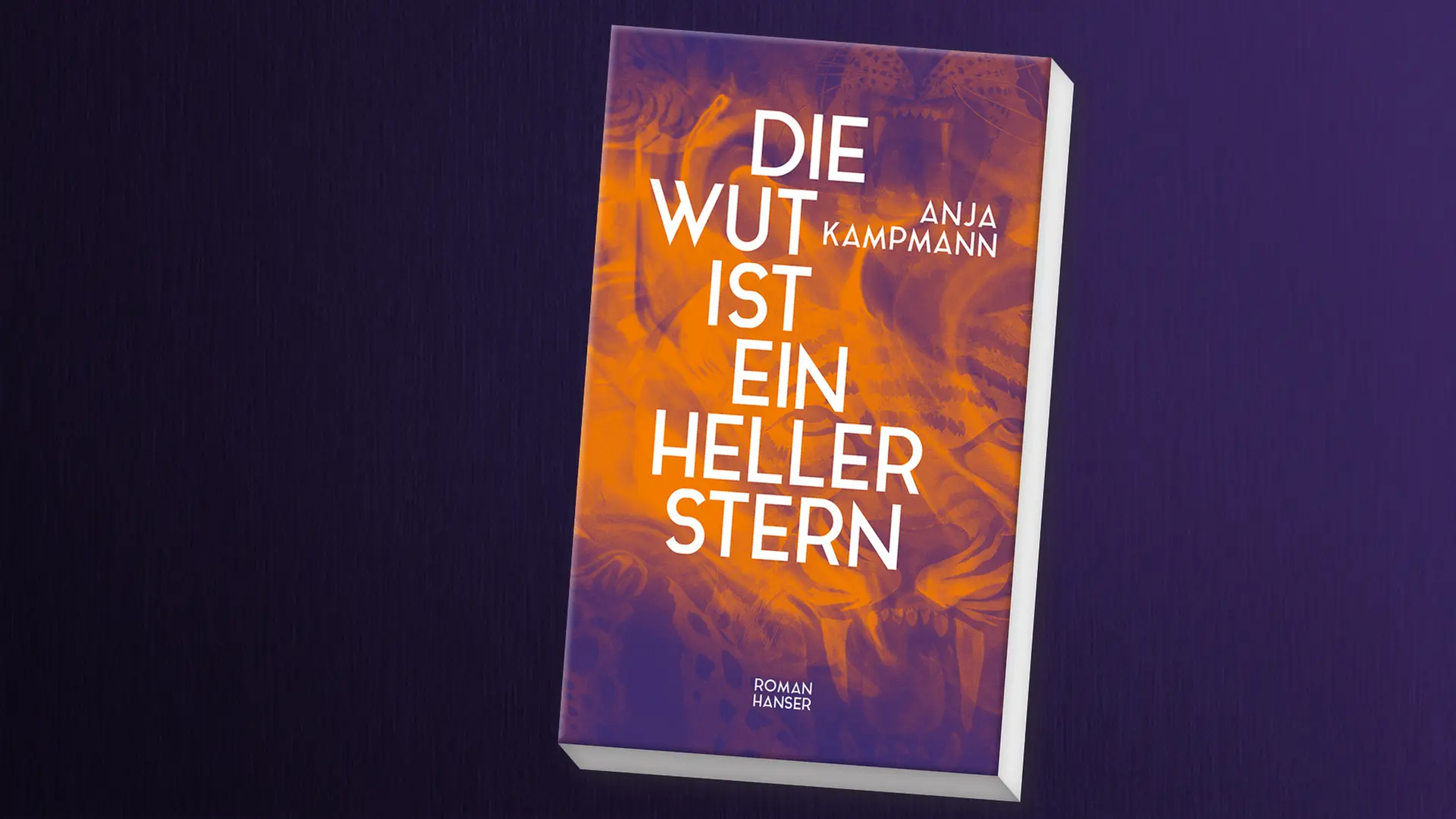 NDR Buch des Monats: Anja Kampmann - "Die Wut ist ein heller Stern" | ndr.de