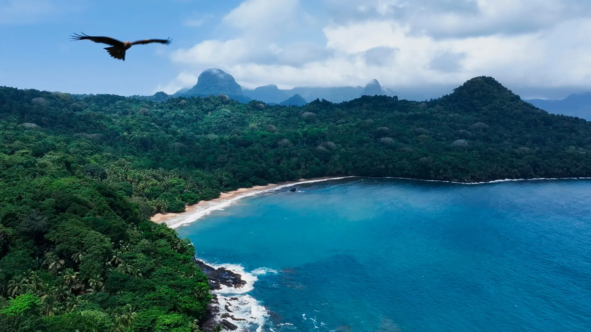 São Tomé und Príncipe - Schokoladeninseln am Äquator | ndr.de