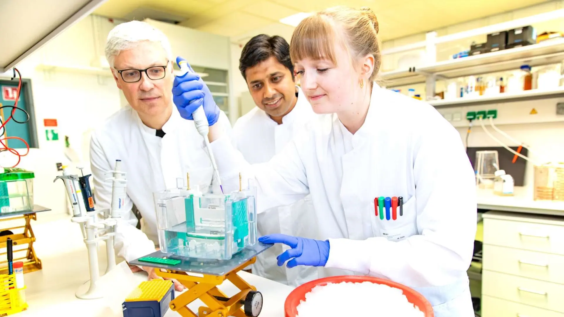 Medizinische Hochschule Hannover: Millionen für Infektionsforschung ...