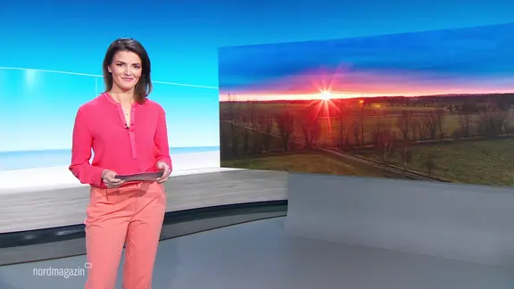 Wie geht es weiter mit dem Landgestüt Redefin? | ndr.de