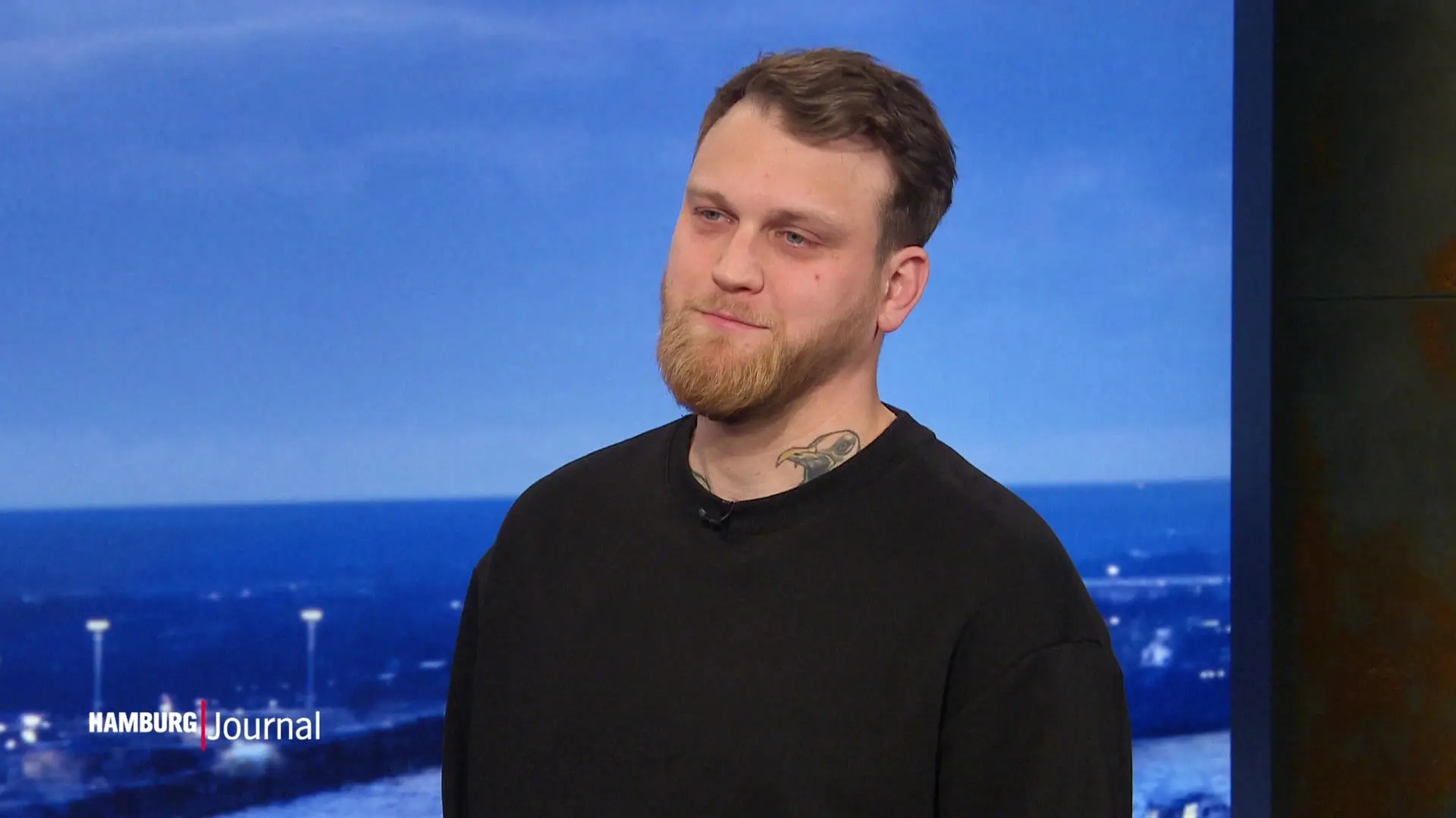 Interview mit Schädlingsbekämpfer Pierre Springer | ndr.de