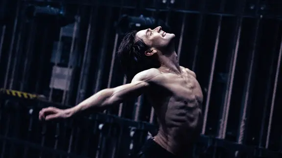 Ballett-Tage Hamburg: Weltstar Vogel tanzt sich in Seele des Publikums ...