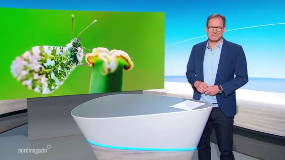 Nordmagazin - Land und Leute | 07.05.2026 | ndr.de
