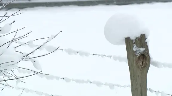 Stromausfall: Die Gemeinde Ellerau ist vorbereitet | ndr.de