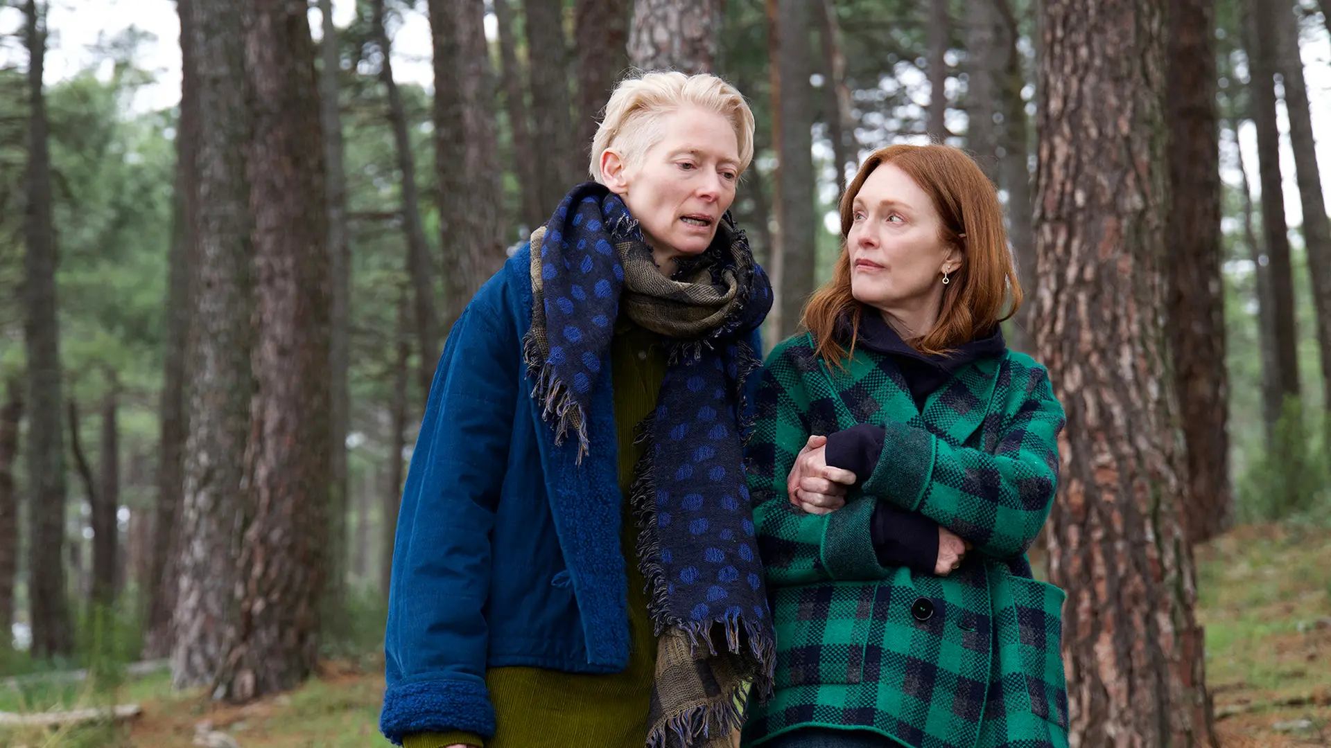 "The Room Next Door": Pedro Almodóvars kluge Annäherung an den Tod | ndr.de