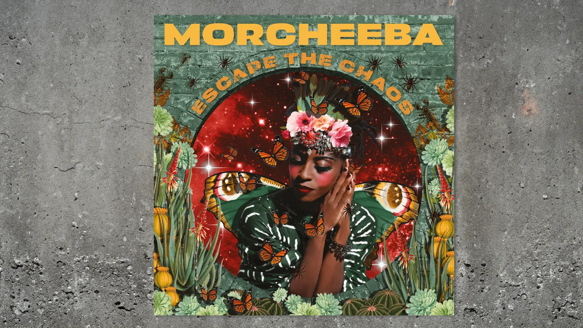 Glatt und verträumt: Neues Album "Escape The Chaos" von Morcheeba | ndr.de
