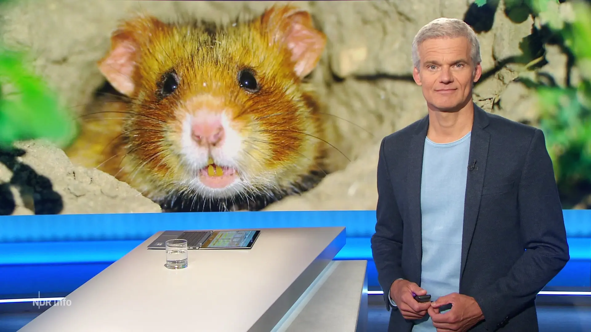 NDR Info 15:00 | 19.08.2025 | ndr.de