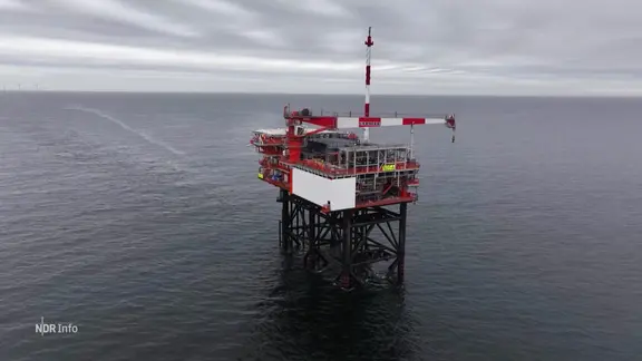 Amateur interracial gangbang uTF was a pure pleasure and