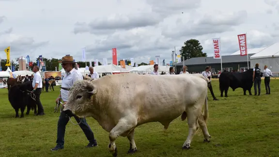 Norla 2025 in Rendsburg: Landwirtschaftsmesse mit 70.000 Besuchern | ndr.de
